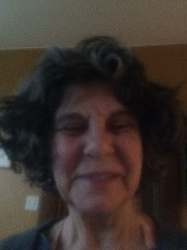 Susan Mcbride Holotropic Canada